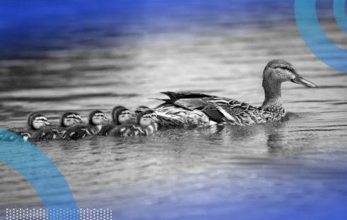 Real Stories Written by Real Tech Professionals | Built In