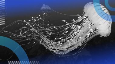 What Is Big Data? How Does Big Data Work? | Built In