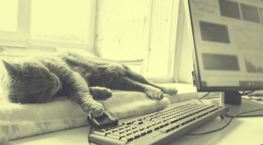 Remote Work Tips, Advice & Resources | Built In