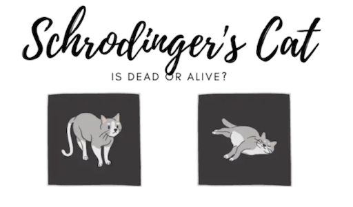 What Is Schrödinger’s Cat? (Definition, How It Works) | Built In