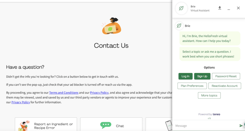 19 Chatbot Examples to Know | Built In