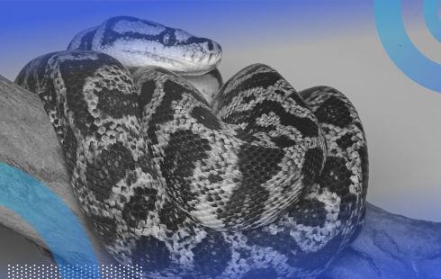 What Is a Lead Software Engineer? How to Become One, Salary, Skills ...