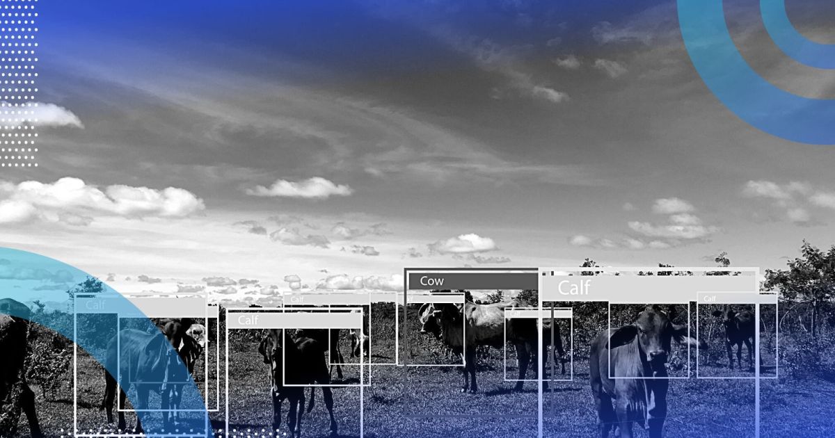 Vision Transformer: An Introduction | Built In